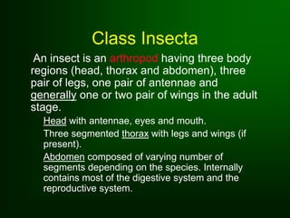 A detailed introduction to entomology.ppt