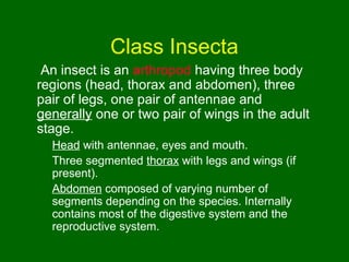 The_basic_introduction_to_entomology.ppt