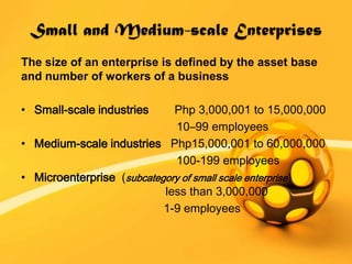 Introduction to entrepreneurship | PPTX | Economy | Business and Finance