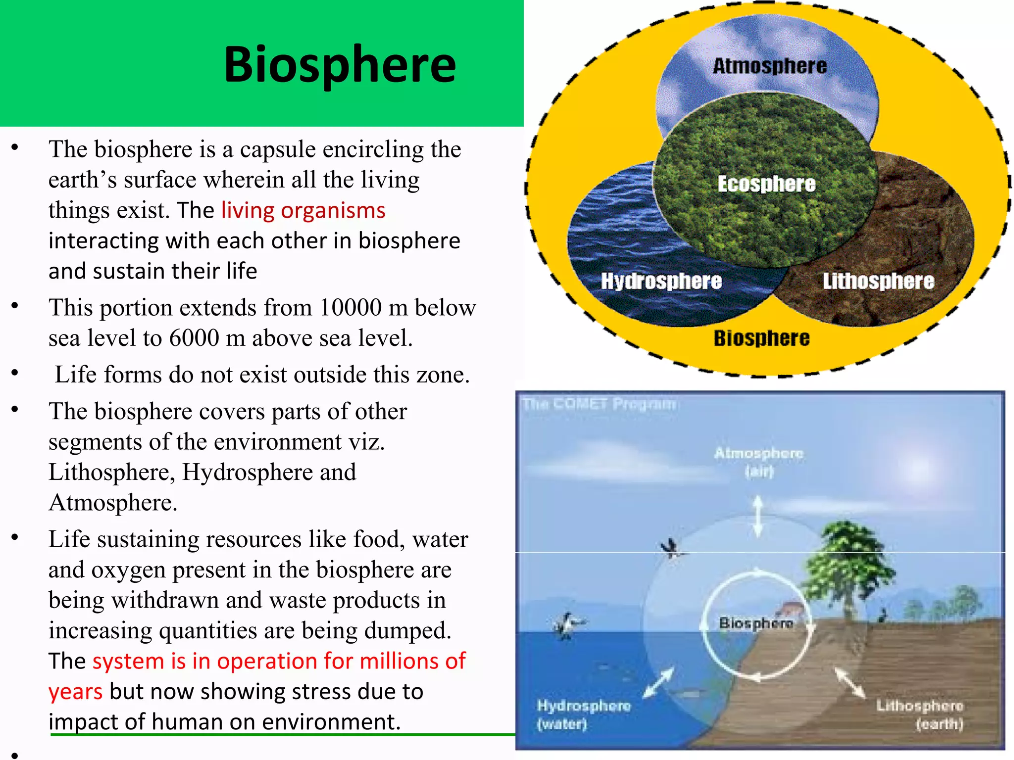Introduction to Environment Ecology and Ecosystem | PPT