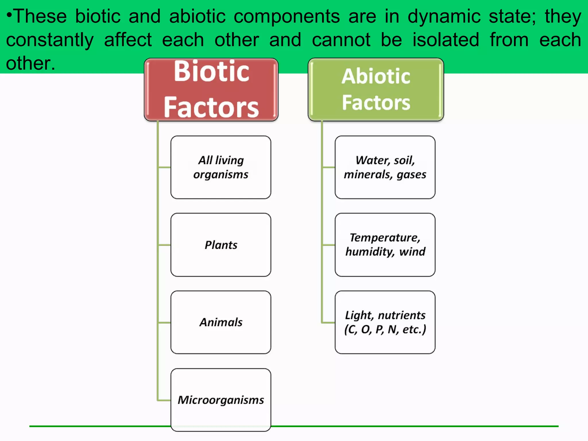 Introduction to Environment Ecology and Ecosystem | PPT