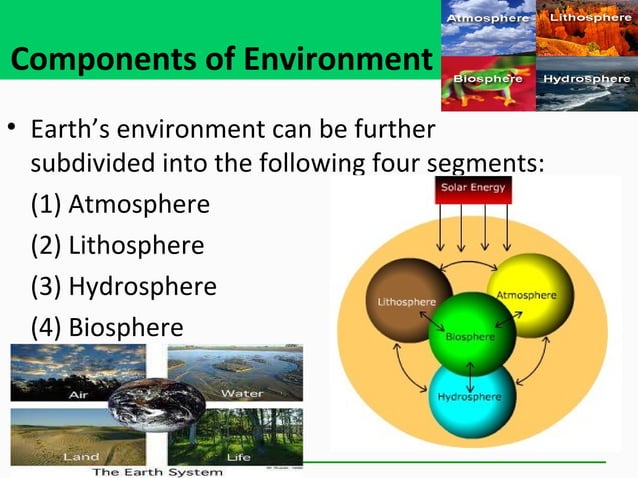 Introduction to Environment Ecology and Ecosystem | PPT | Indoor ...