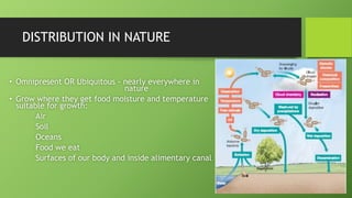 Introduction to Environmental Microbiology (by- Meenu Malik) | PPTX