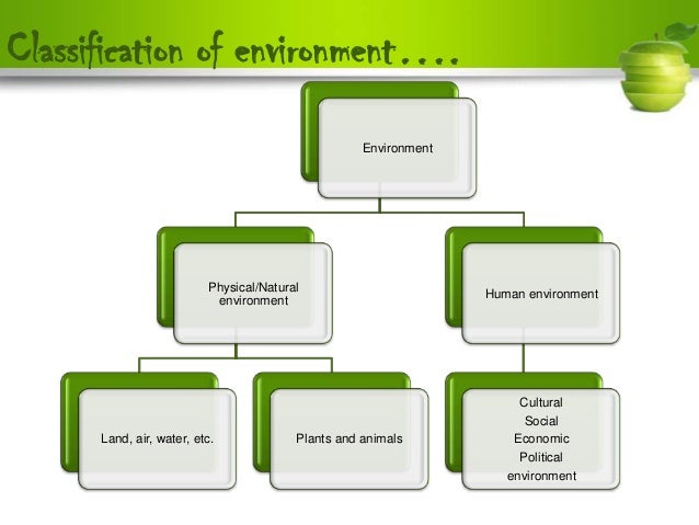 Introduction To Environment
