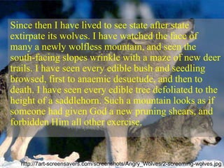 introduction to environmental ethics06.ppt