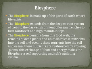 Introduction to Environmental Science.pptx
