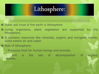 Introduction to environment and environmental studies | PPTX