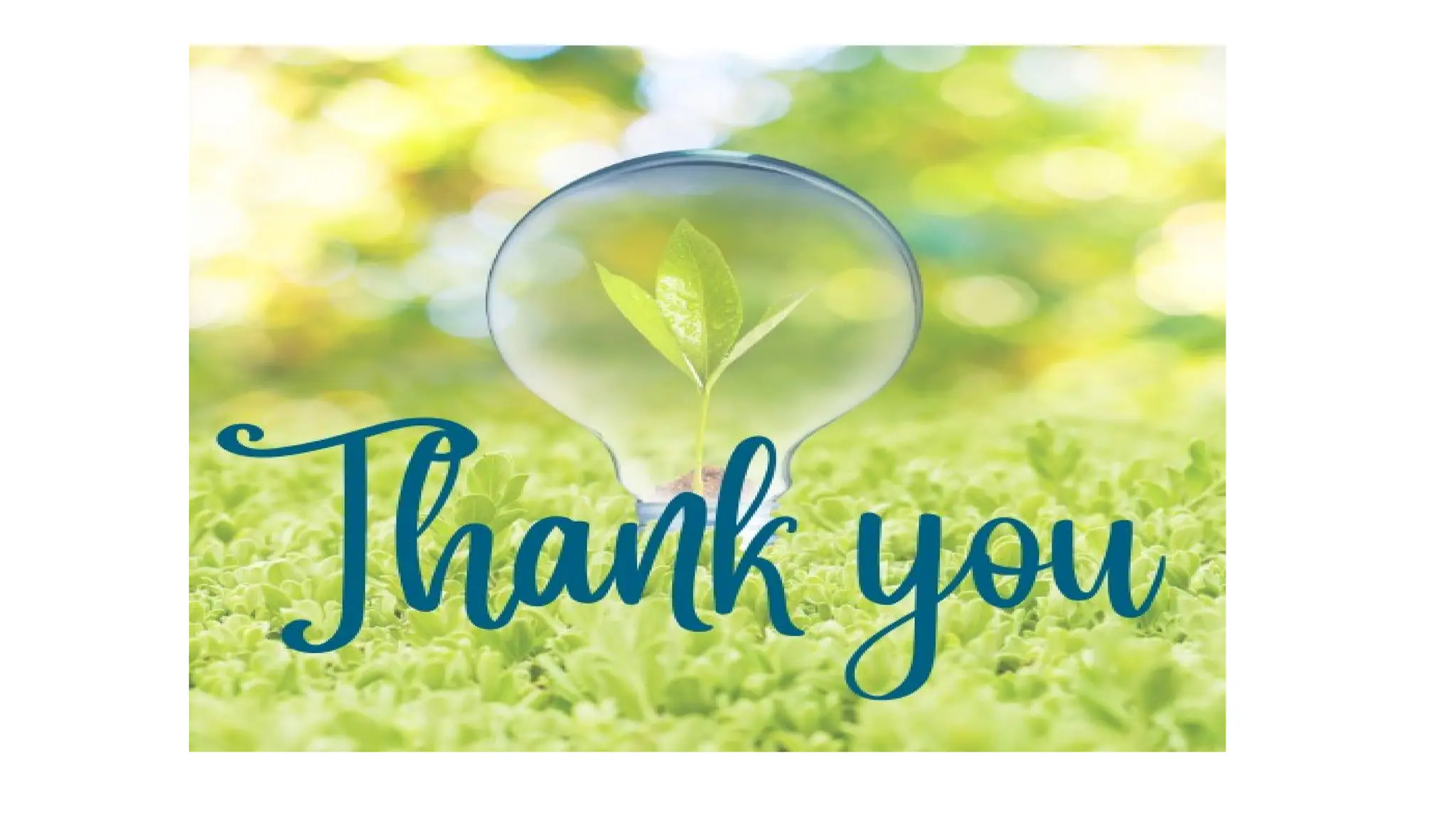 Introduction to environment & Atmosphere.pptx