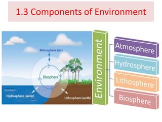 Introduction to environment,ecology and ecosystem | PPTX