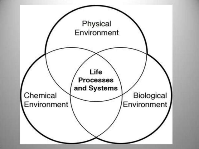 Introduction to enviormental sciences, definition scope and importance ...