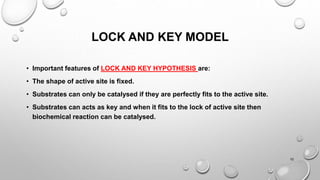 Introduction to enzymes | PPTX