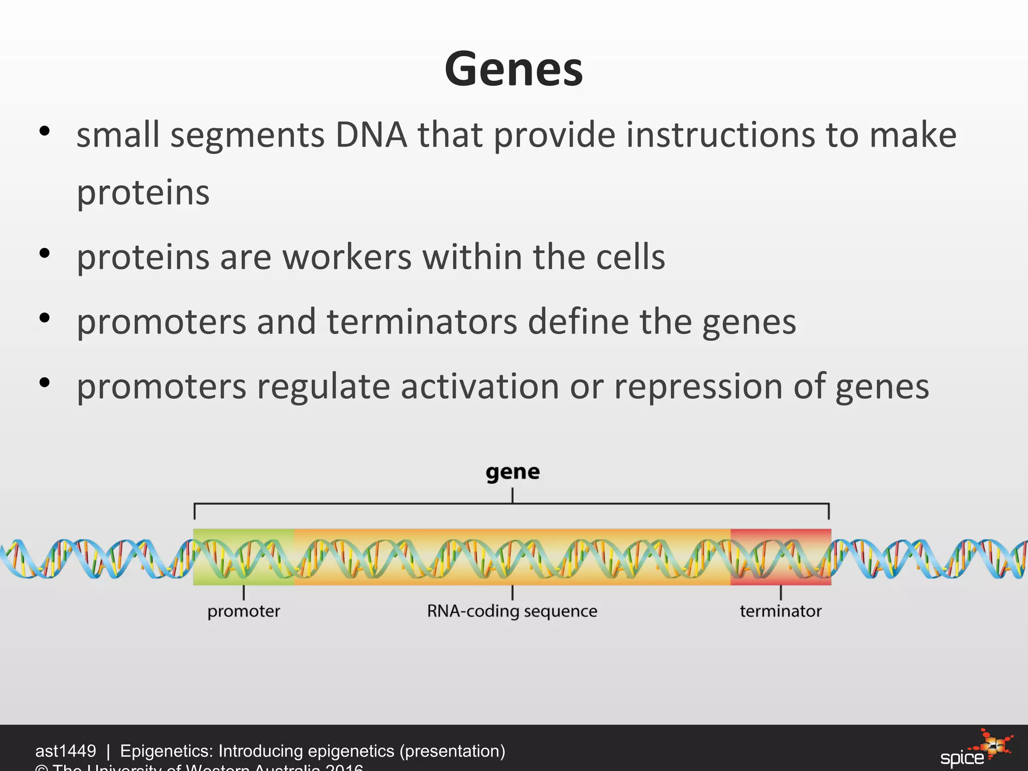 Introduction to Epigenetics | PPT