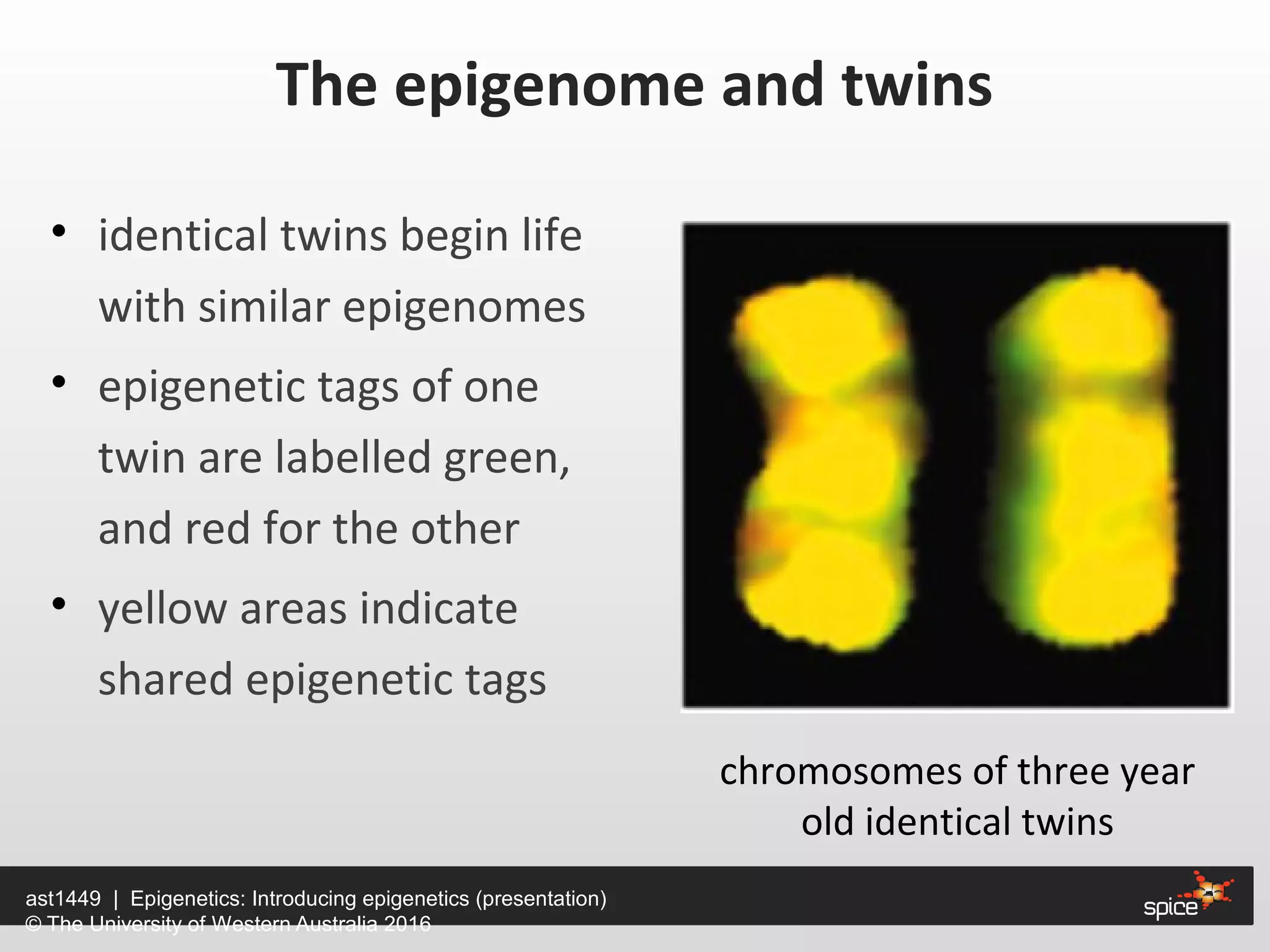 Introduction to Epigenetics | PPT