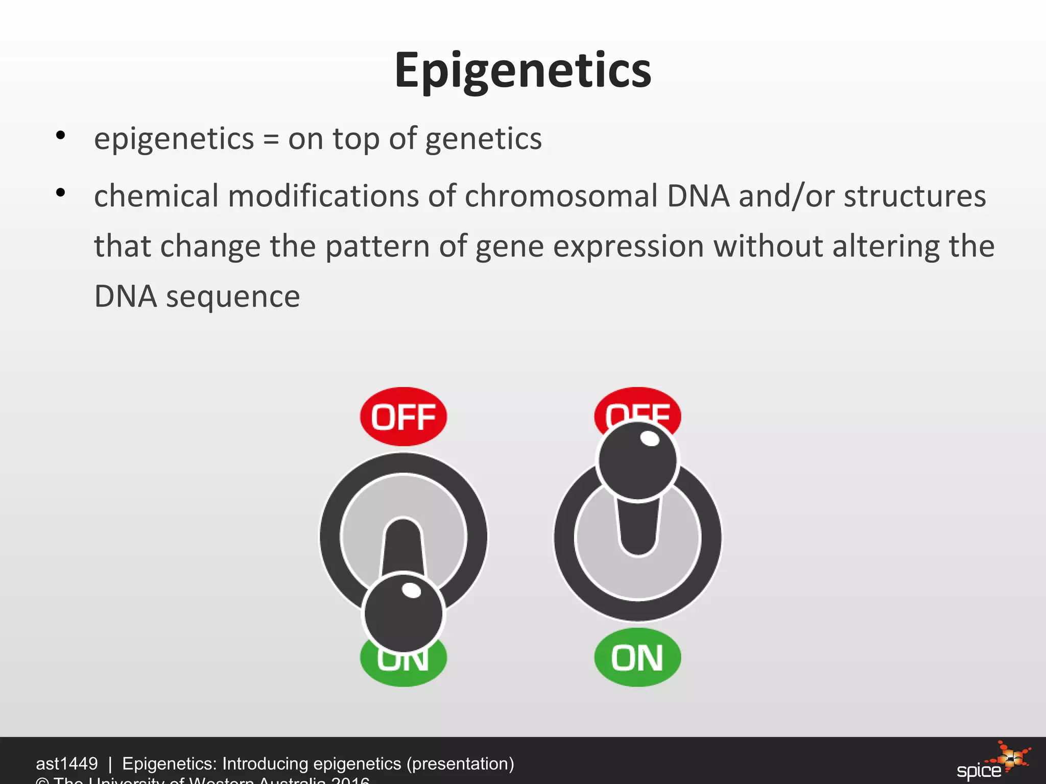 Introduction to Epigenetics | PPT