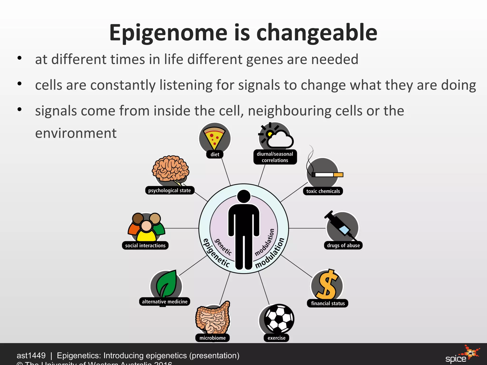 Introduction to Epigenetics | PPT