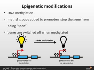 Introduction to Epigenetics | PPT