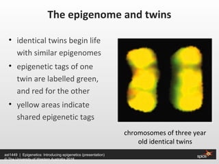 Introduction to Epigenetics | PPT