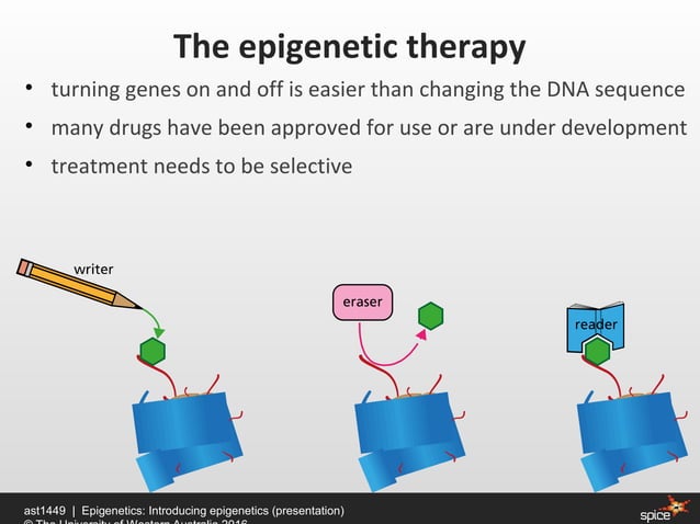 Introduction to Epigenetics | PPT