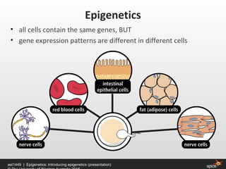 Introduction to Epigenetics | PPT