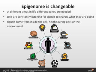 Introduction to Epigenetics | PPT