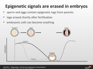 Introduction to Epigenetics | PPT