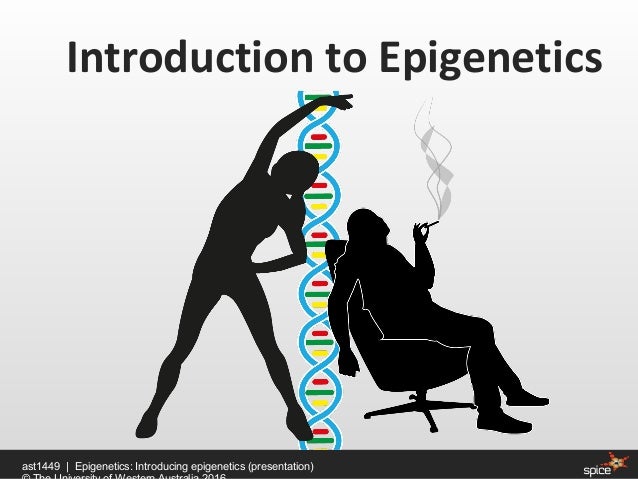 Epigenetics Ppt