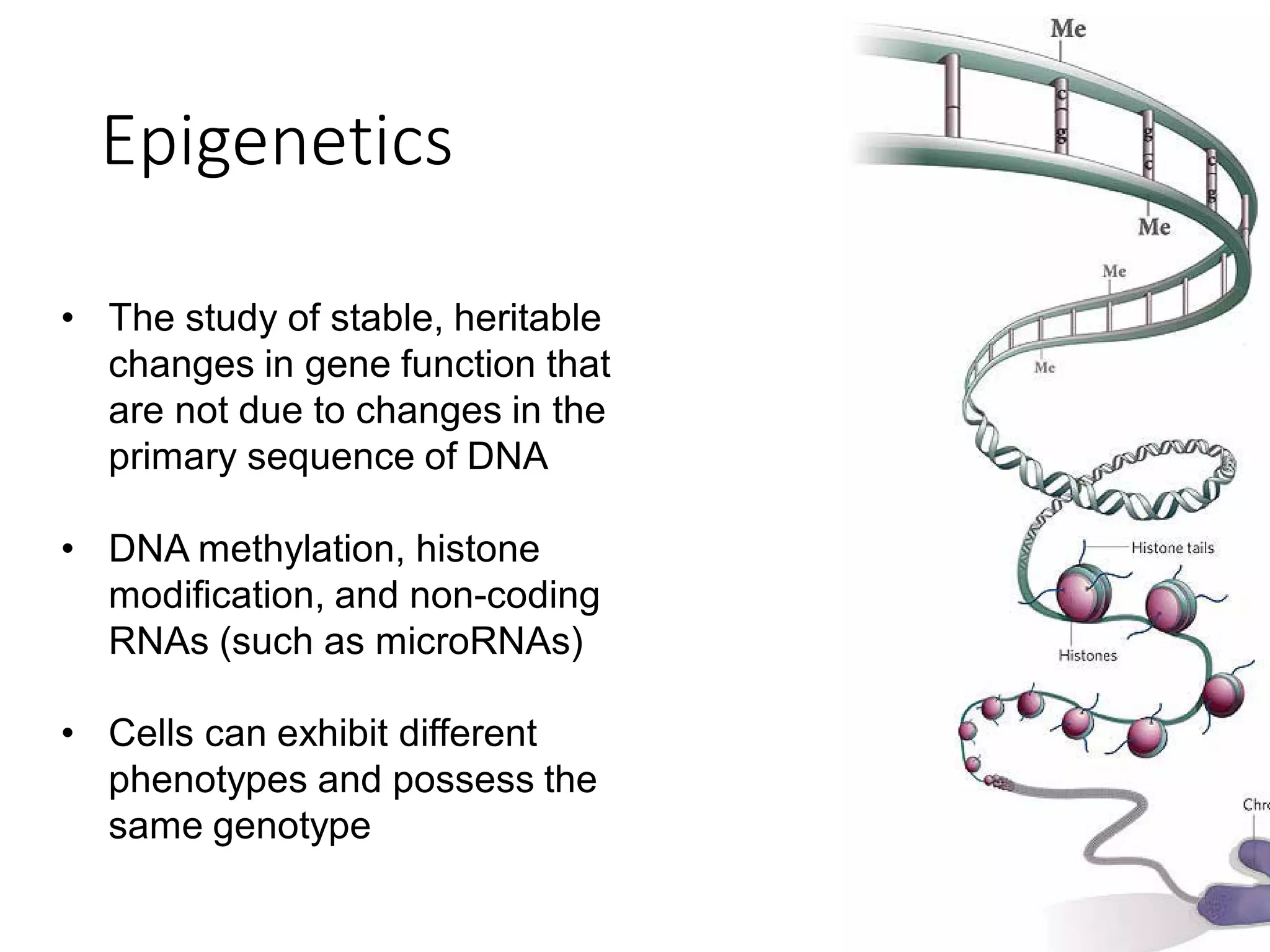 Introduction to epigenetics and study design | PDF