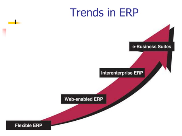 Introduction to ERP.PPT | Computing | Technology & Computing