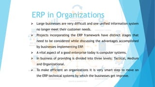 Introduction to ERP Systems | PDF