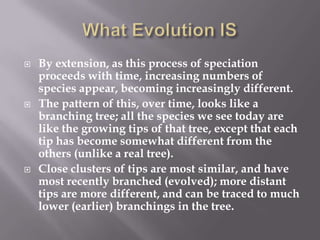 Introduction to evolution | PPTX