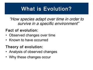 Introduction to evolution | PPT