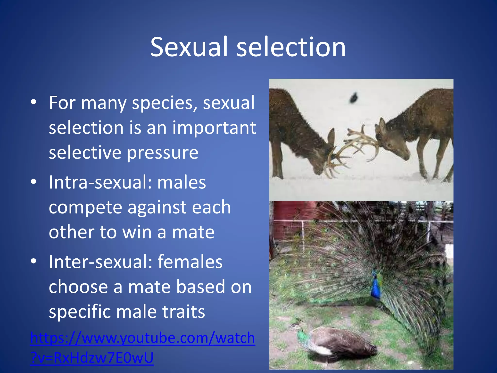 Introduction to evolution | PPTX