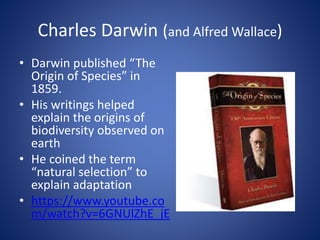 Introduction to evolution | PPTX