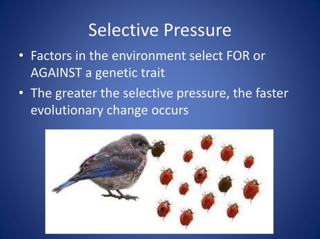 Introduction to evolution | PPT