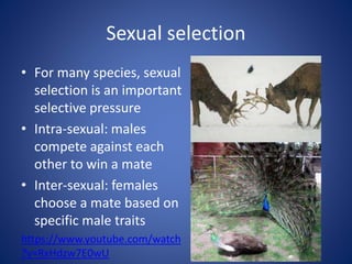 Introduction to evolution | PPTX