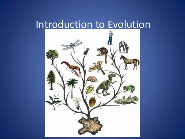 Introduction to evolution