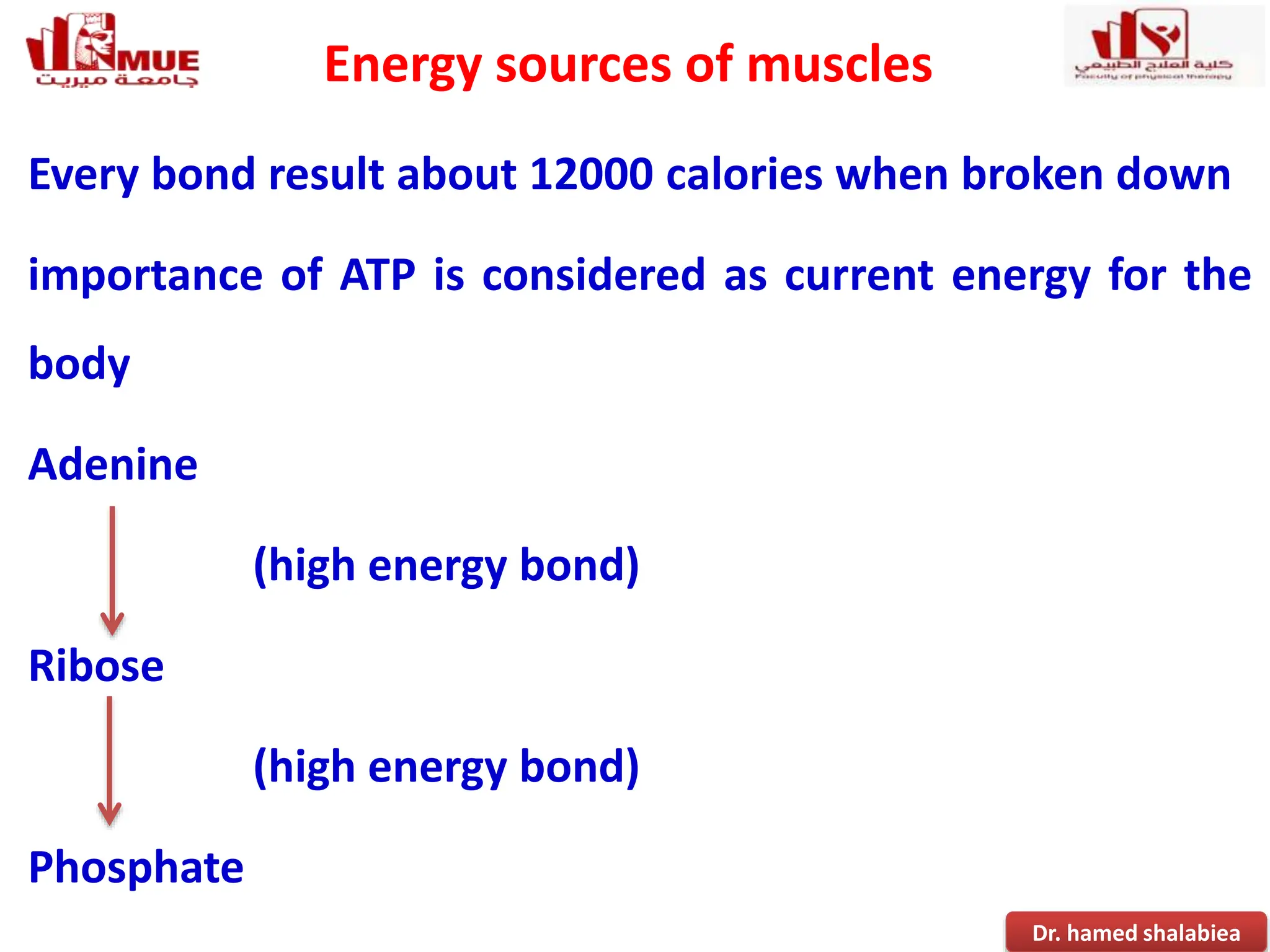 Introduction To Exercise Physiolo.gy.ppt