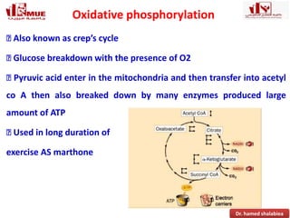 Introduction To Exercise Physiolo.gy.ppt