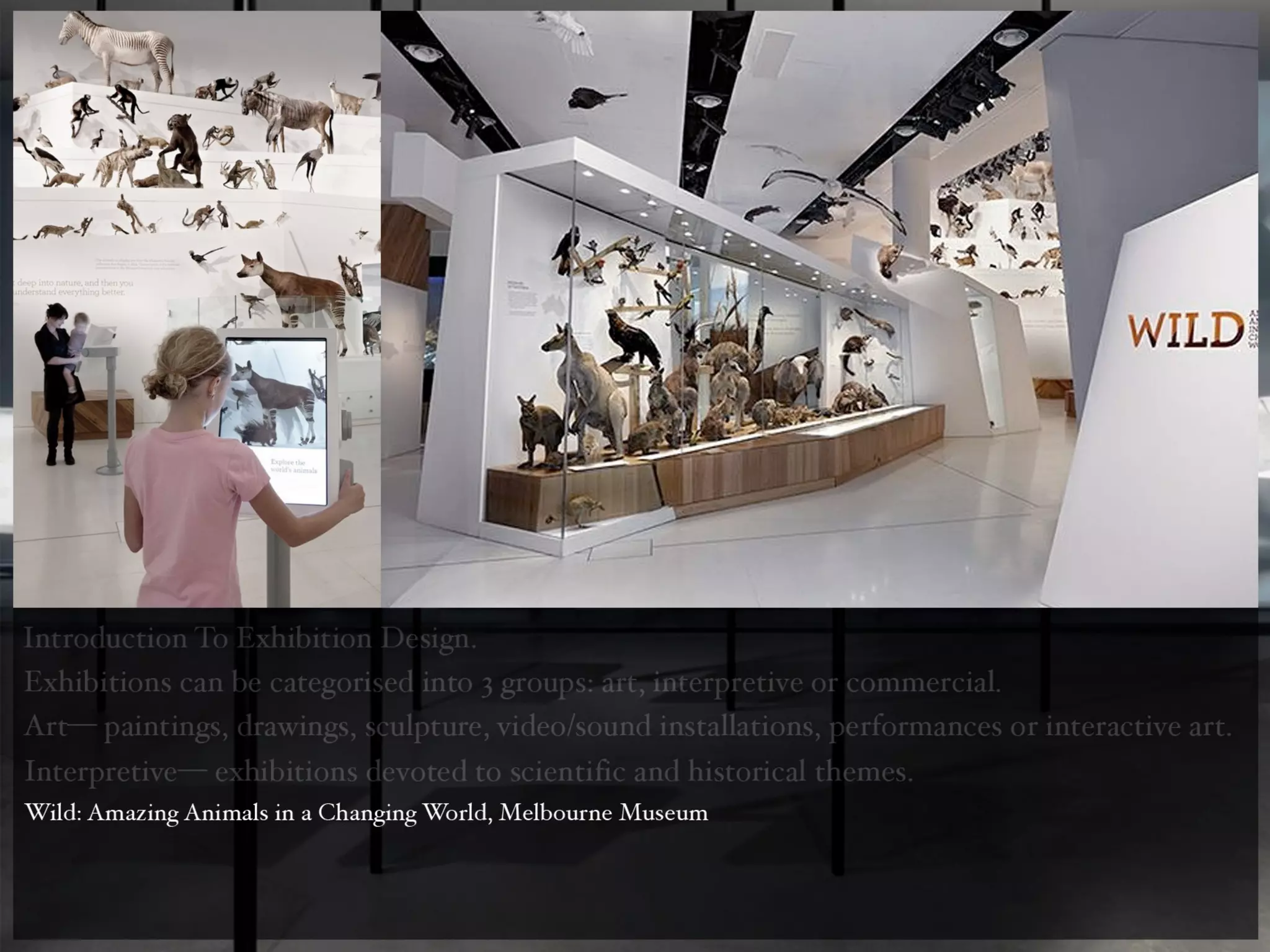 Introduction To Exhibition Design | PPT