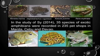 Introduction to Exotic Species | PPTX