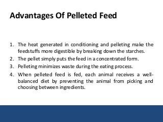 Introduction To Feed Pelleting | PPTX