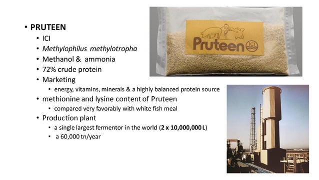 Introduction to fermentation and range of fermentation processes | PDF ...