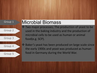 Introduction to fermentation process | PPTX