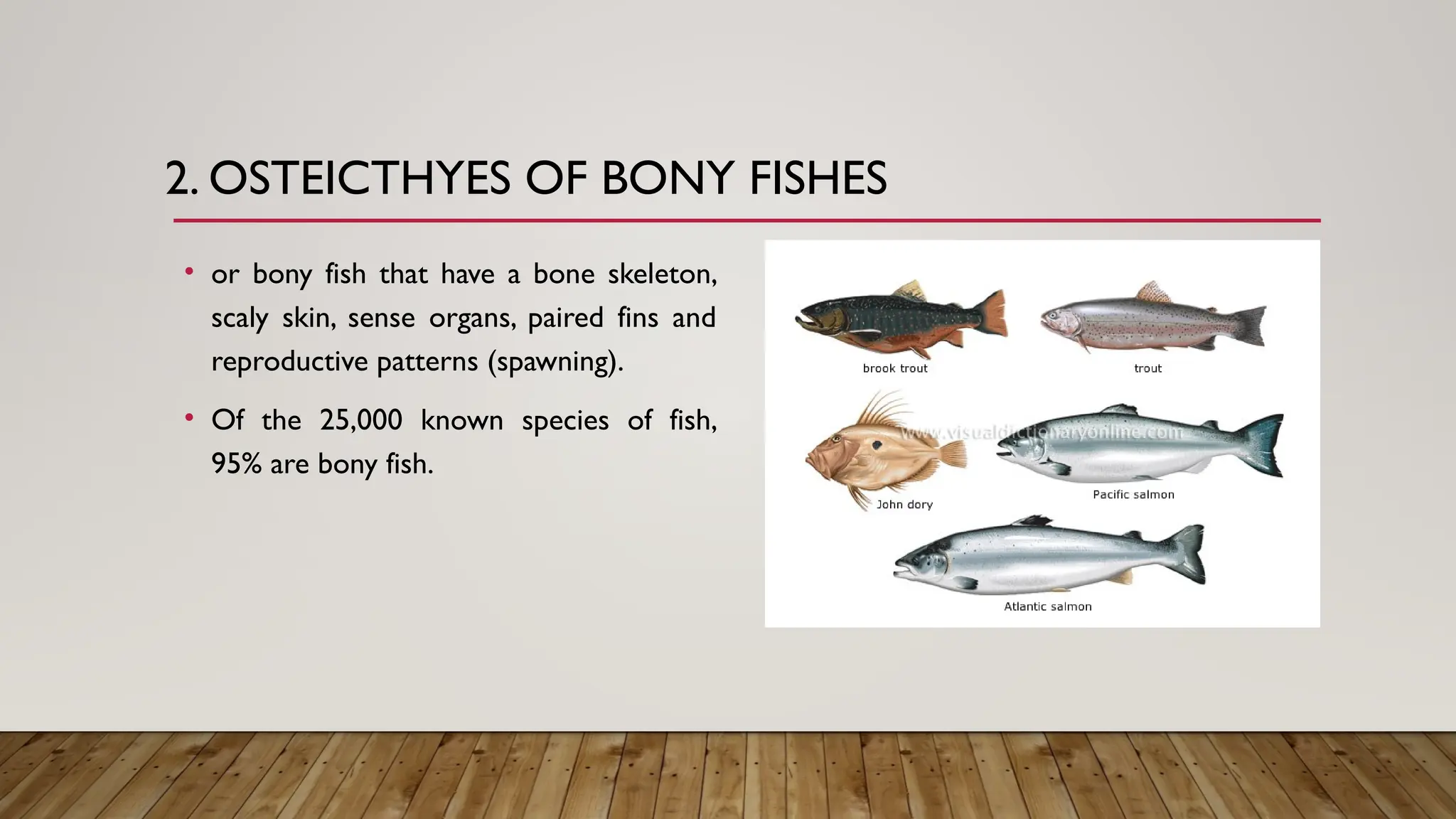 Introduction to fisheries LECTURE. 1.pptx