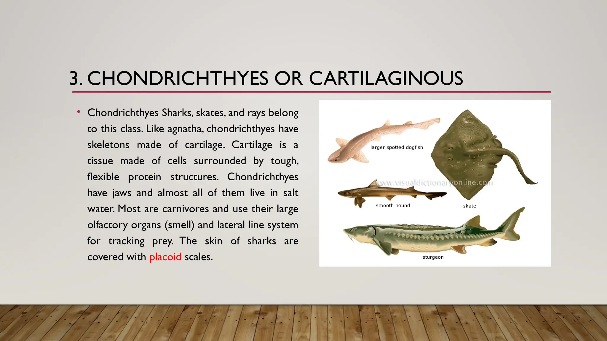 Introduction to fisheries LECTURE. 1.pptx