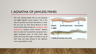 Introduction to fisheries LECTURE. 1.pptx