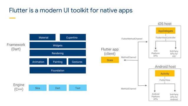 Introduction to Flutter.pptx | Computer Software and Applications | Computing