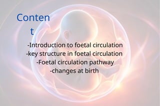 Introduction to foetal CIRCULATION_20240920_120357_0000.pptx