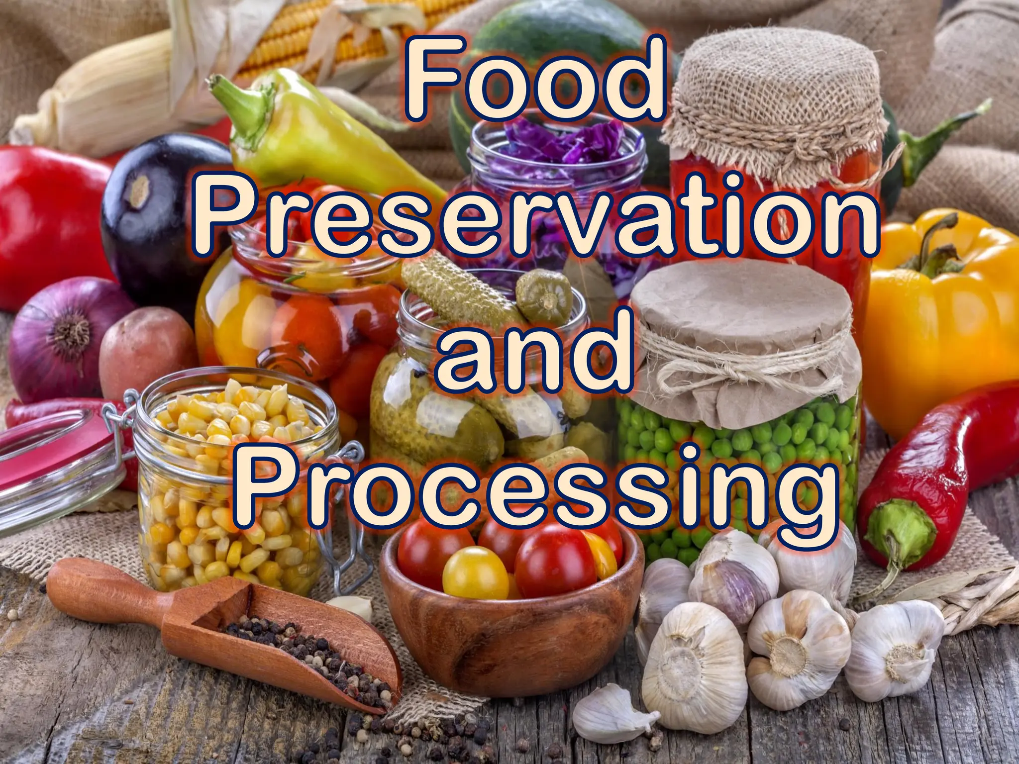 Introduction to Food preservation and Hurdle Technology.pdf