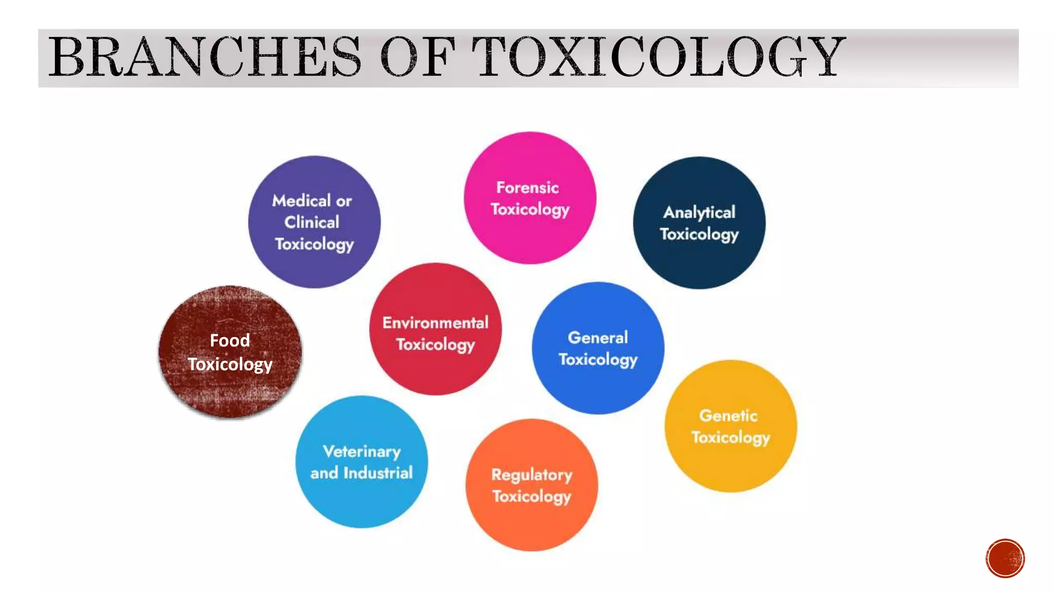 Introduction to Food Toxicology.pptx